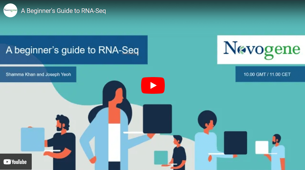 A beginners Guide to RNA-Seq - Novogene