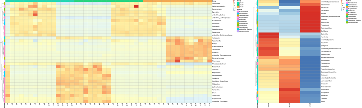 16S/18S/ITS Amplicon Metagenomic Sequencing - Novogene