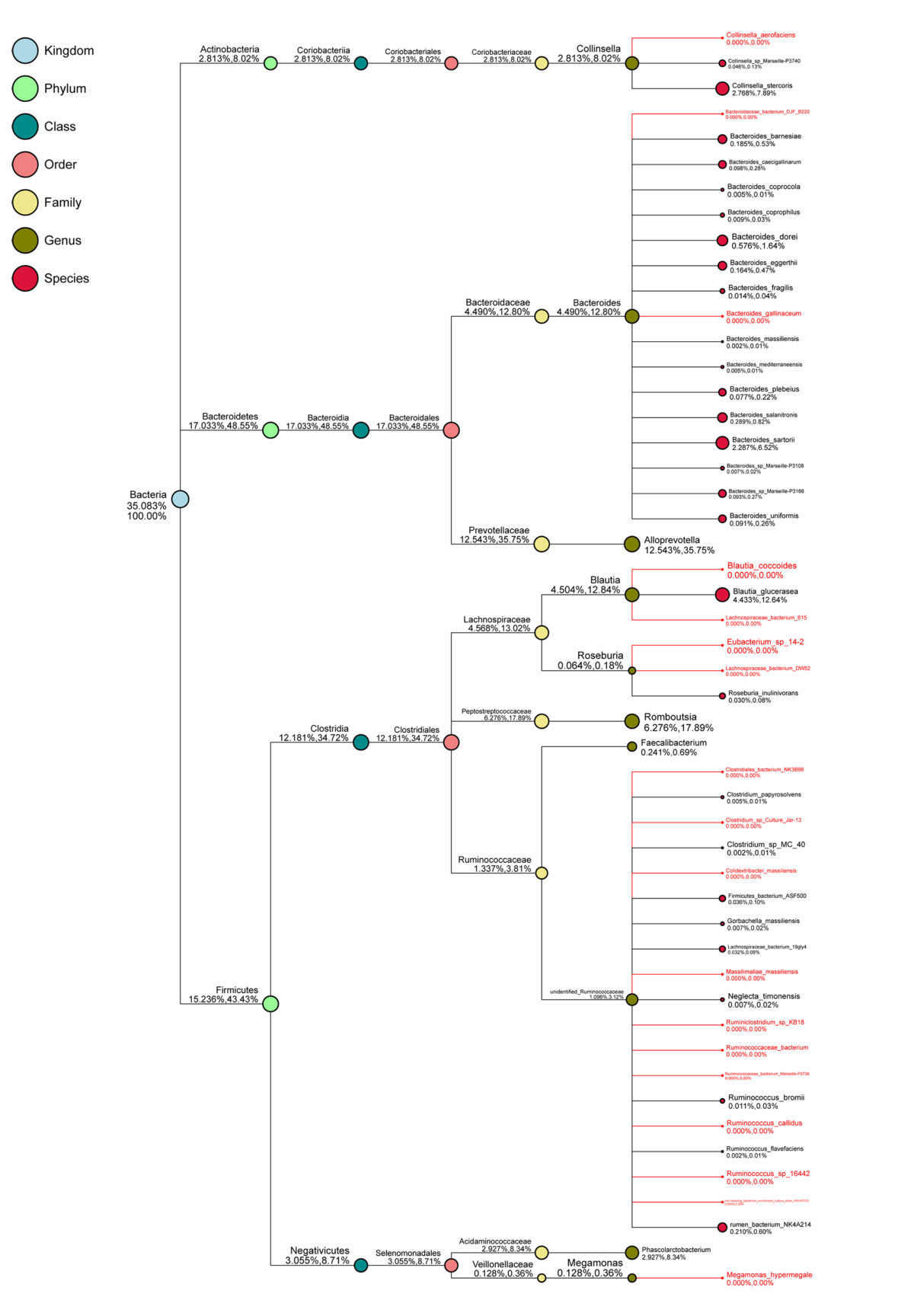 16S/18S/ITS Amplicon Metagenomic Sequencing - Novogene