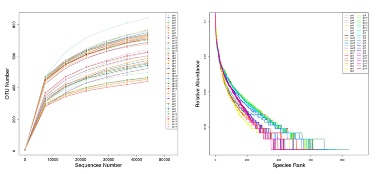 16S/18S/ITS Amplicon Metagenomic Sequencing - Novogene