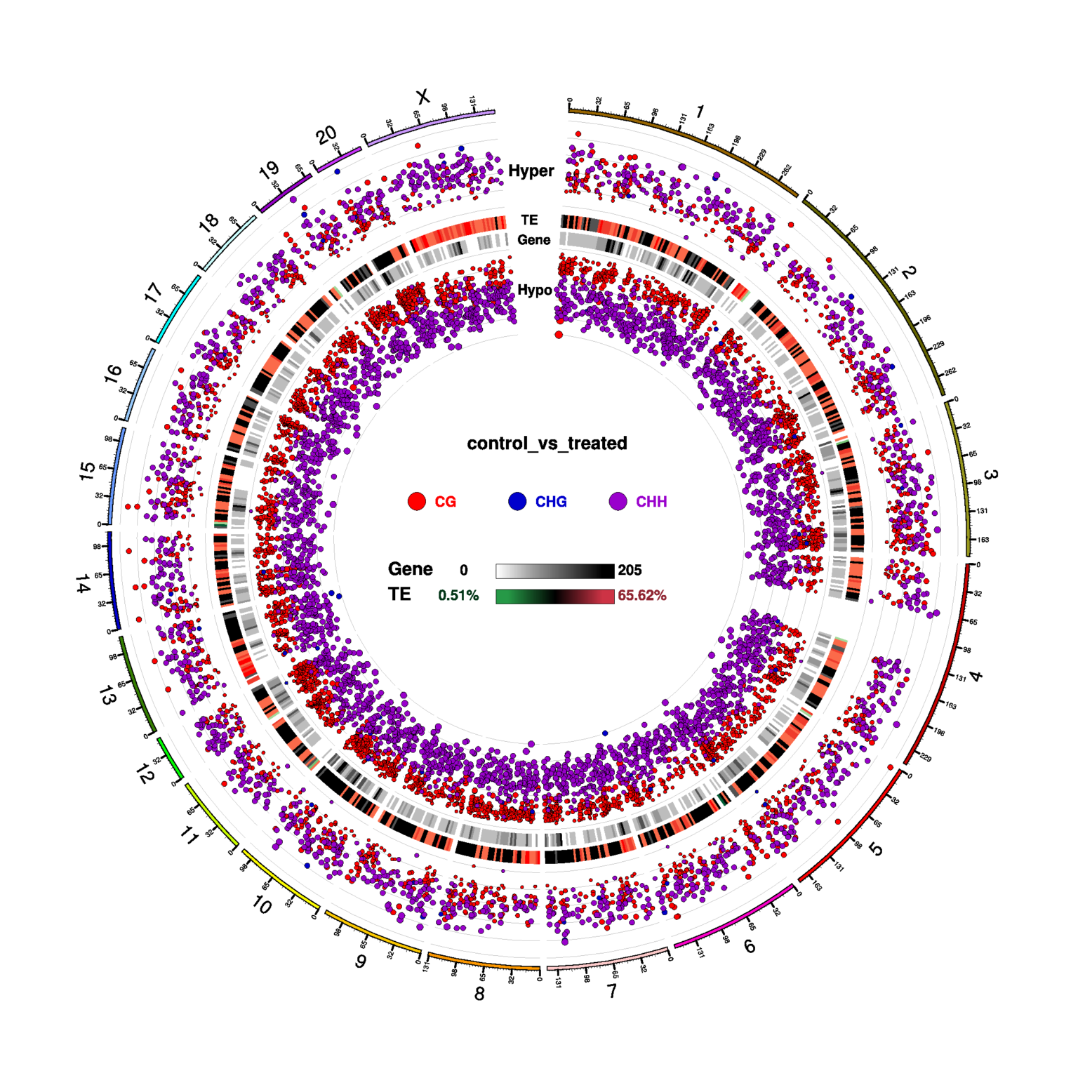 Whole Genome Bisulfite Sequencing (WGBS) - Novogene