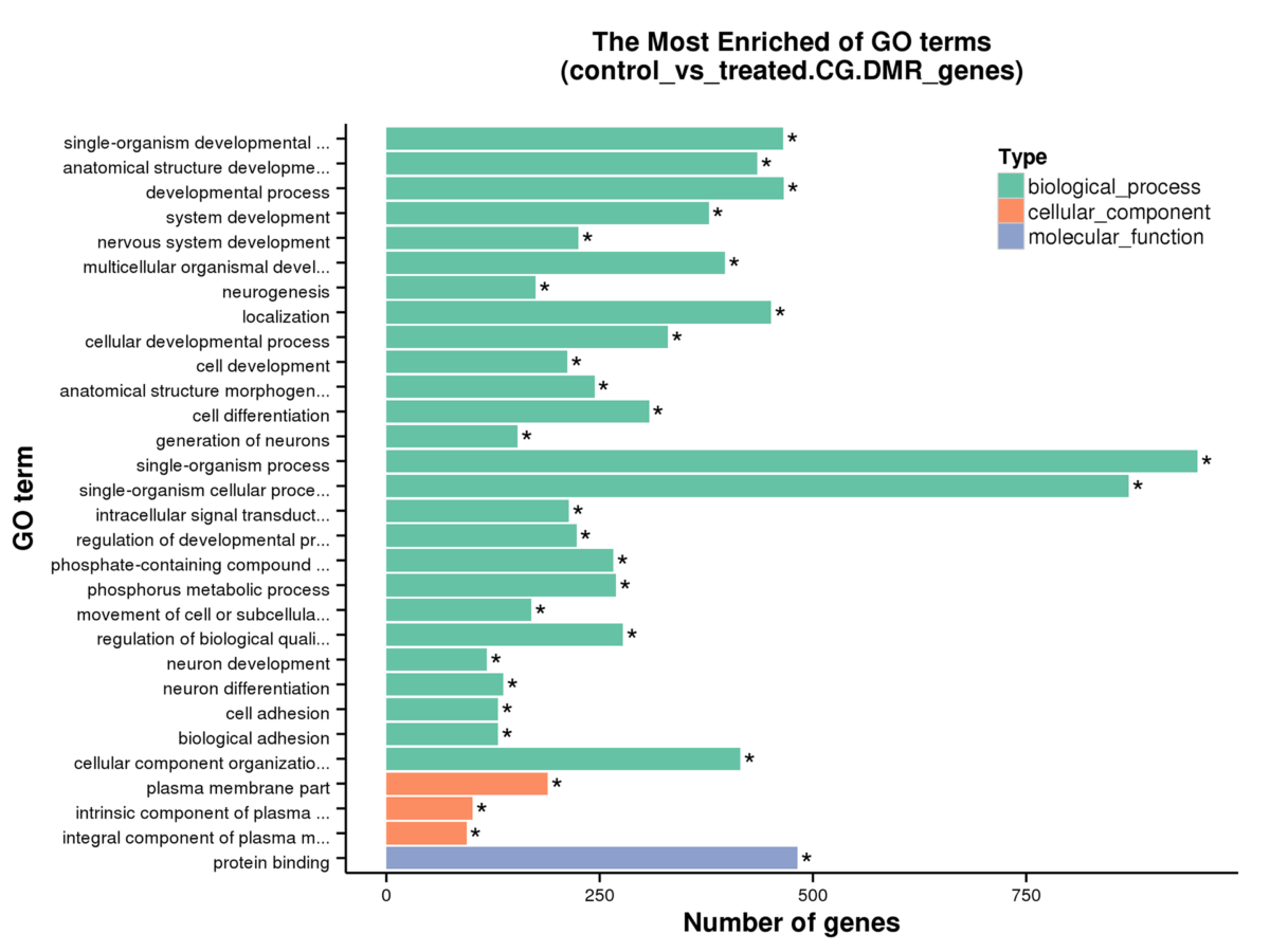 Whole Genome Bisulfite Sequencing (WGBS) - Novogene