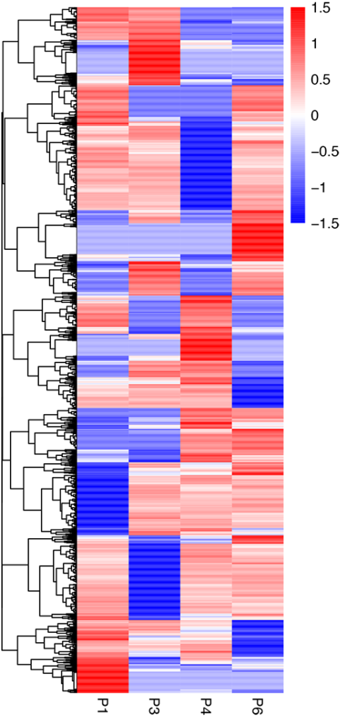 Circular RNA Sequencing (circRNA-seq) - Novogene