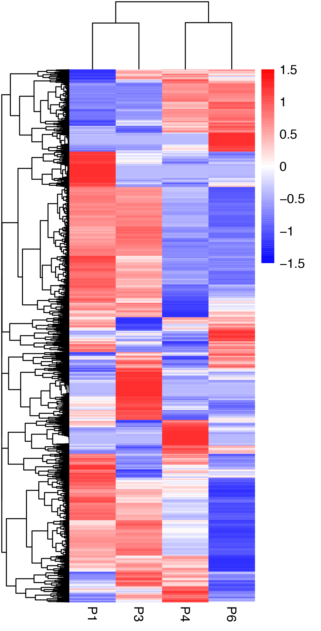 Long Non-coding RNA Sequencing (lncRNA-seq) - Novogene