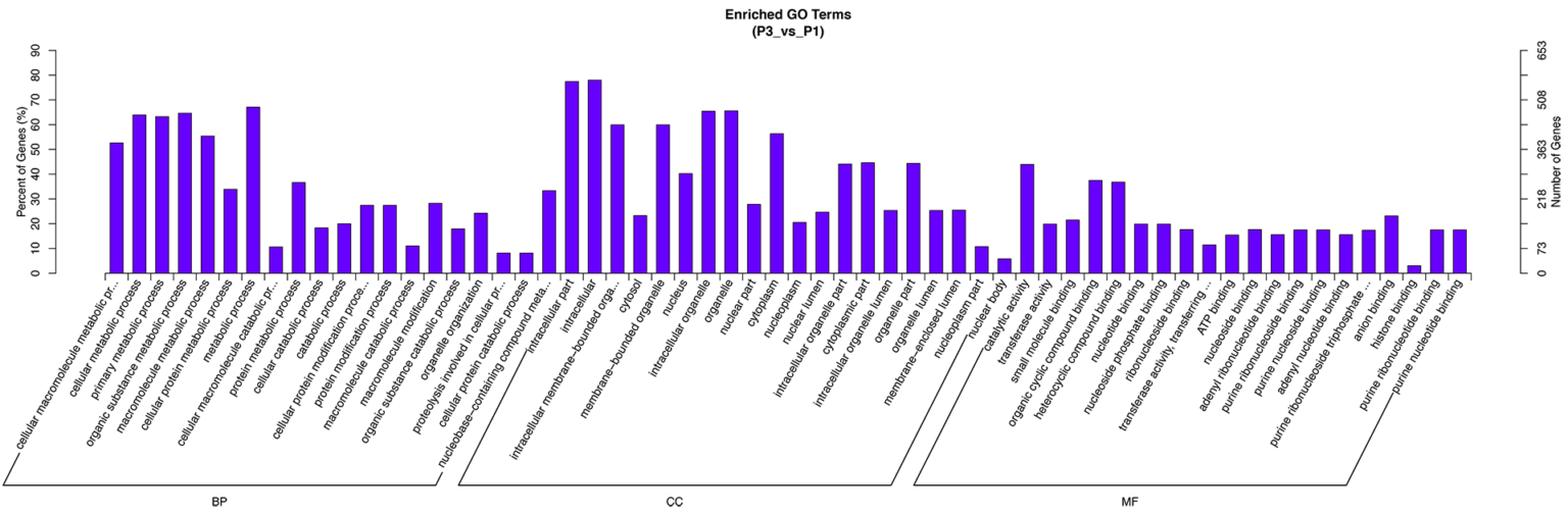 Circular RNA Sequencing (circRNA-seq) - Novogene