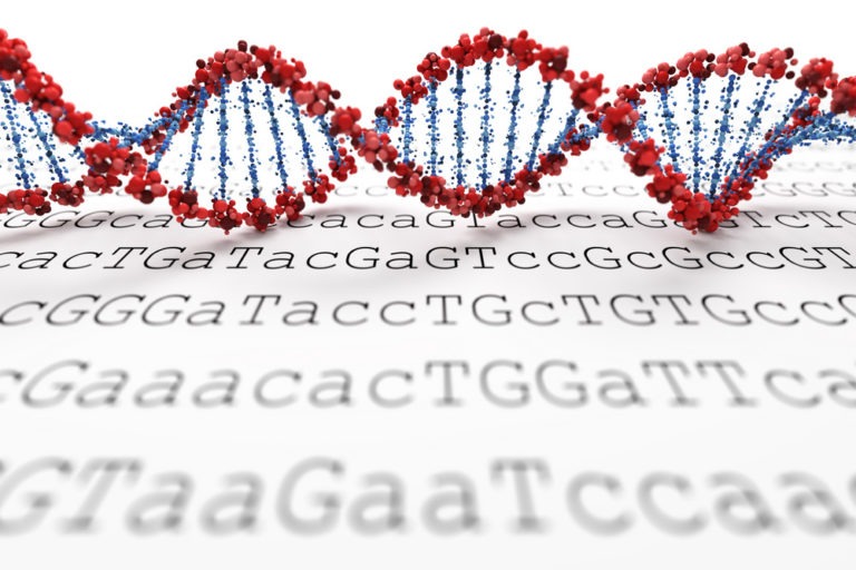 Next Generation Sequencing (NGS): A Beginner’s Guide (Blog) - Novogene