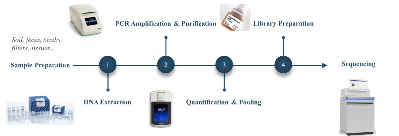 A Beginner’s Guide to 16S/18S/ITS Amplicon Metagenomic Sequencing ...