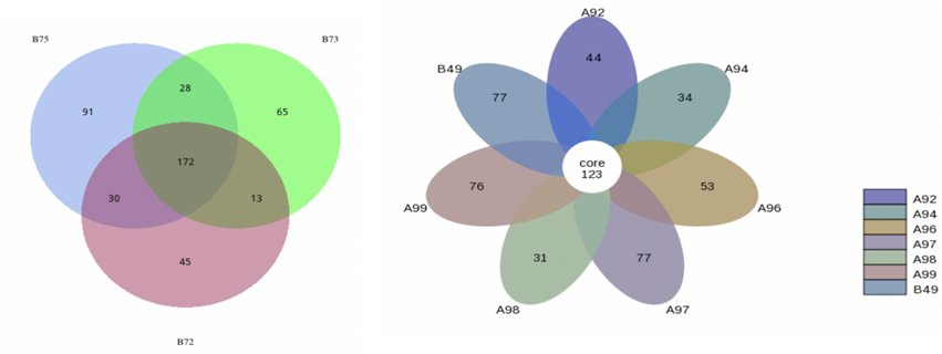 A Beginner’s Guide to 16S/18S/ITS Amplicon Metagenomic Sequencing ...