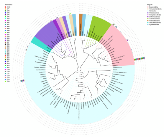 A Beginner’s Guide to 16S/18S/ITS Amplicon Metagenomic Sequencing ...