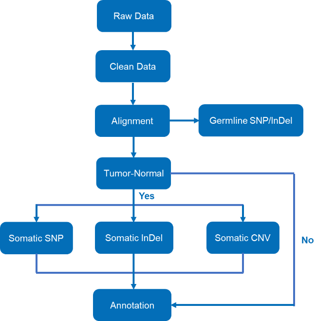 Kickstart Your Whole Exome Sequencing Project with Novogene - Novogene