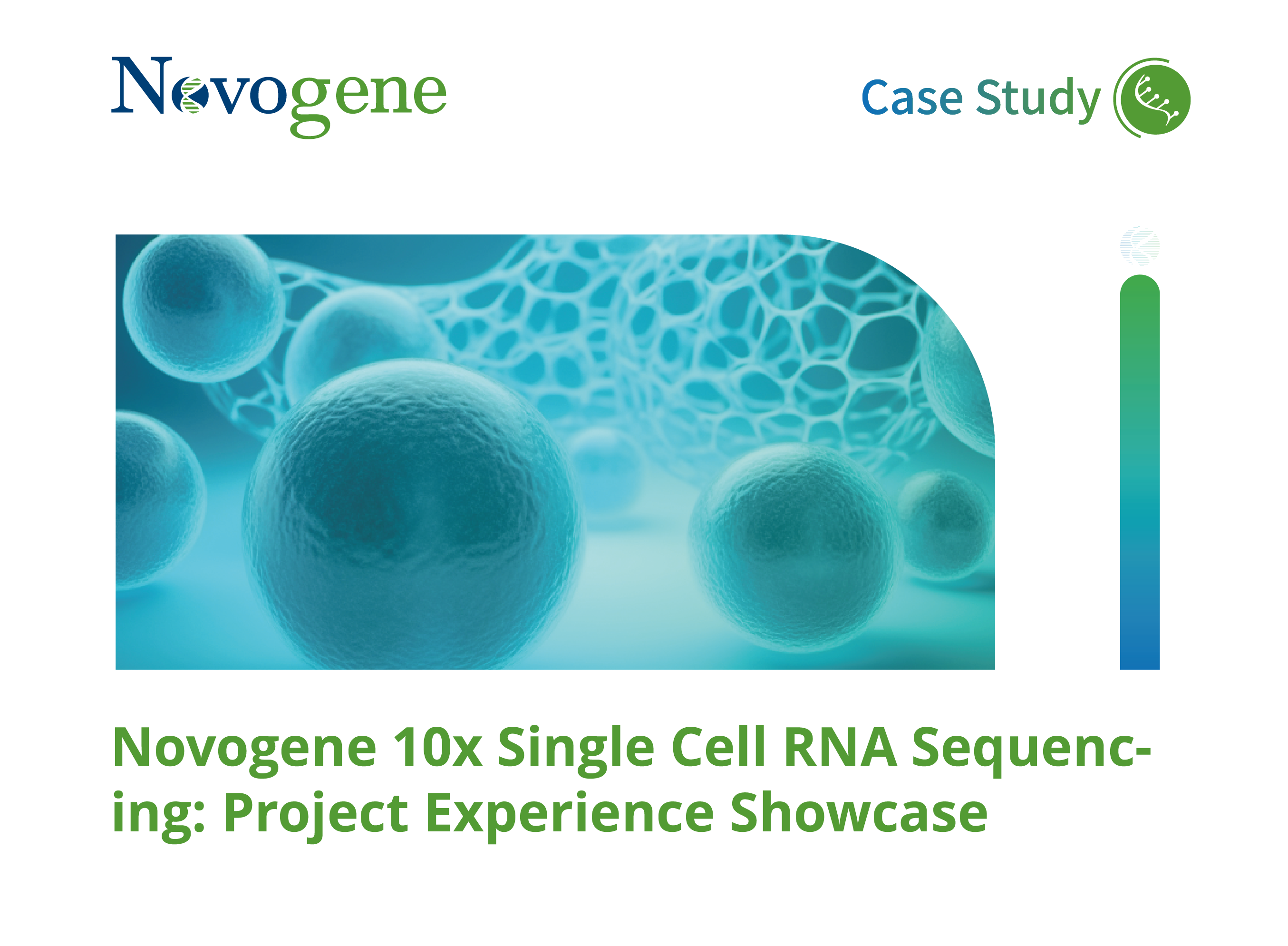 Novogene 10x Single Cell RNA Sequencing: Project Experience Showcase ...