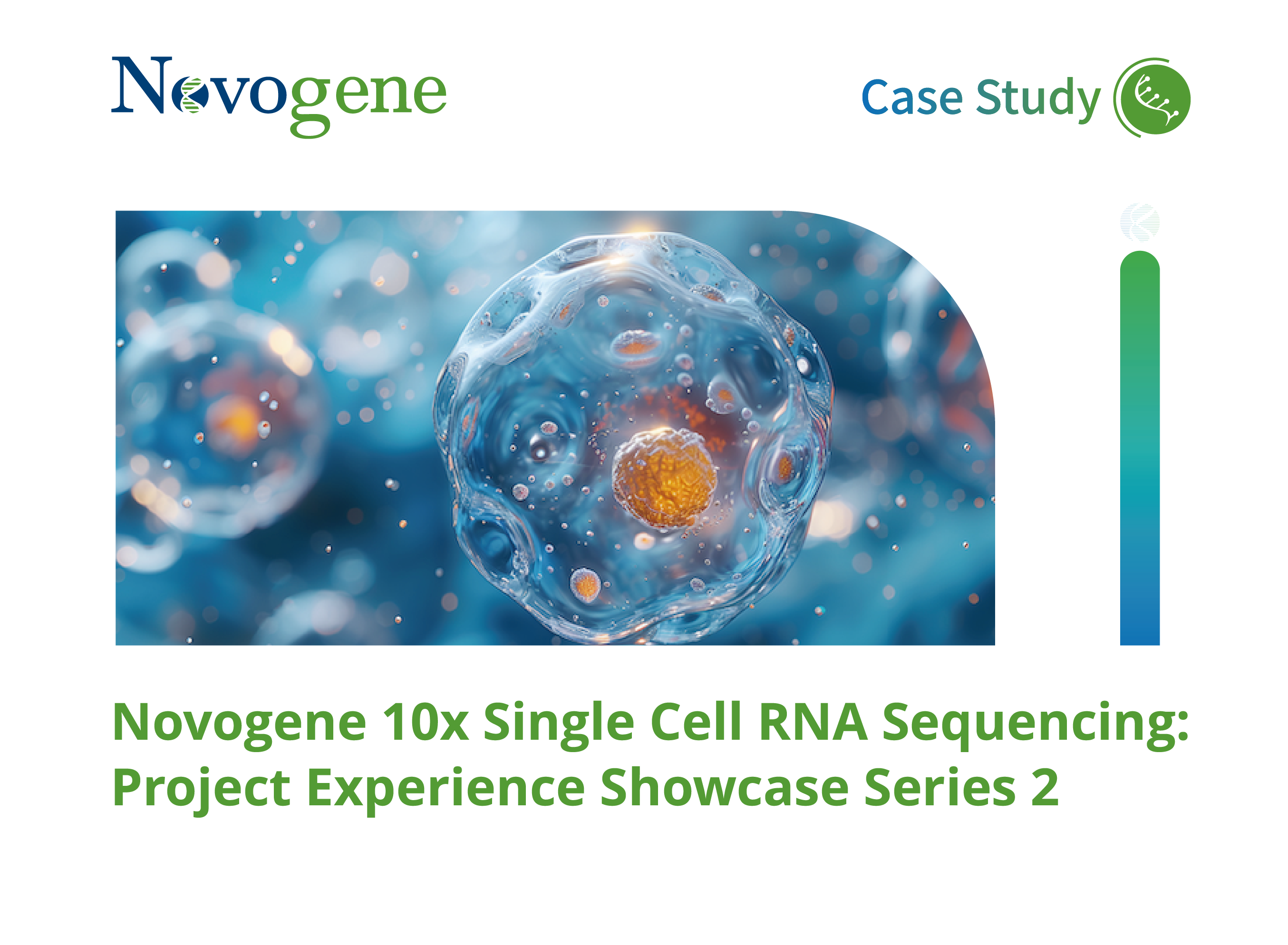 Novogene 10x Single Cell RNA Sequencing: Project Experience Showcase ...