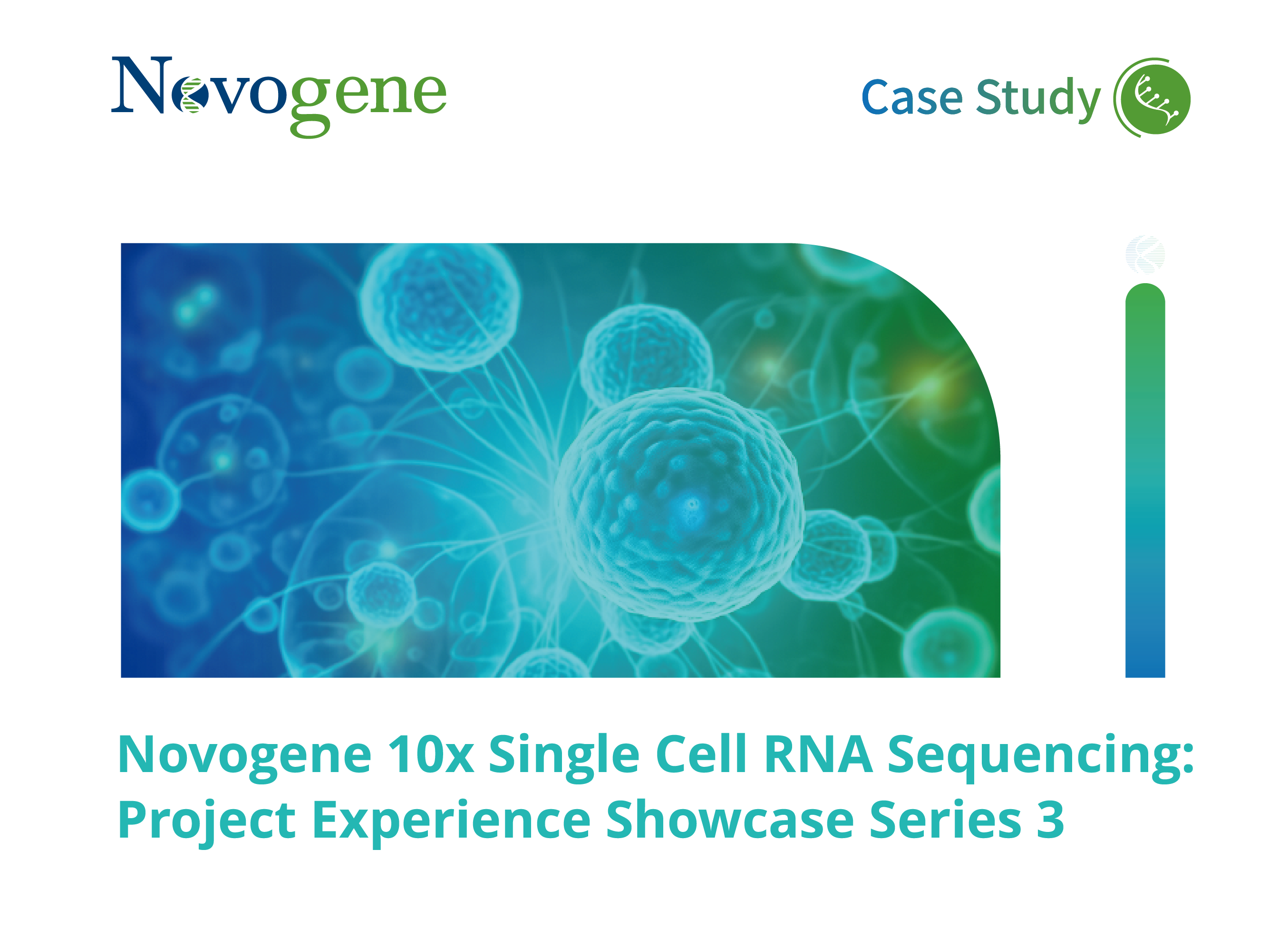 Novogene 10x Single Cell RNA Sequencing: Project Experience Showcase ...
