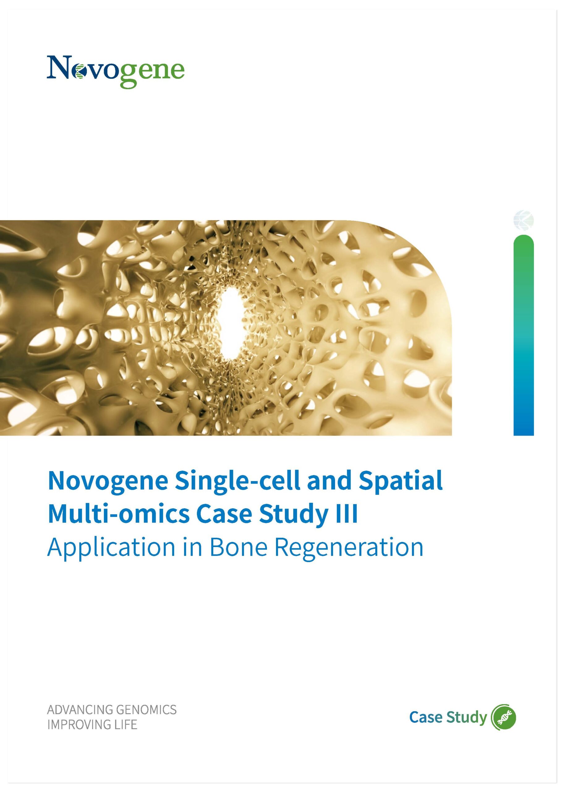 Novogene Single-cell and Spatial Multi-omics Case Study Ⅲ