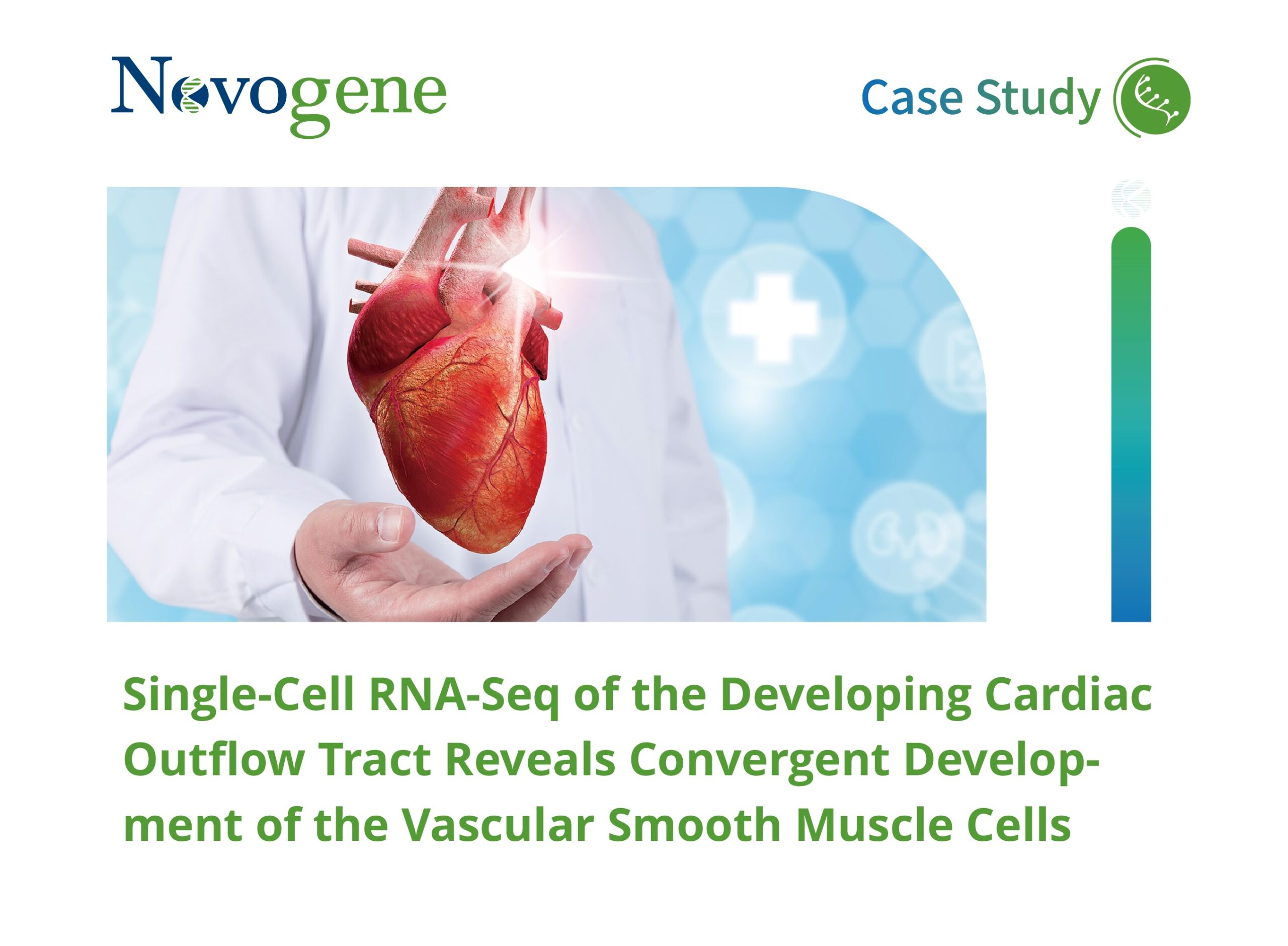 Publications - Novogene