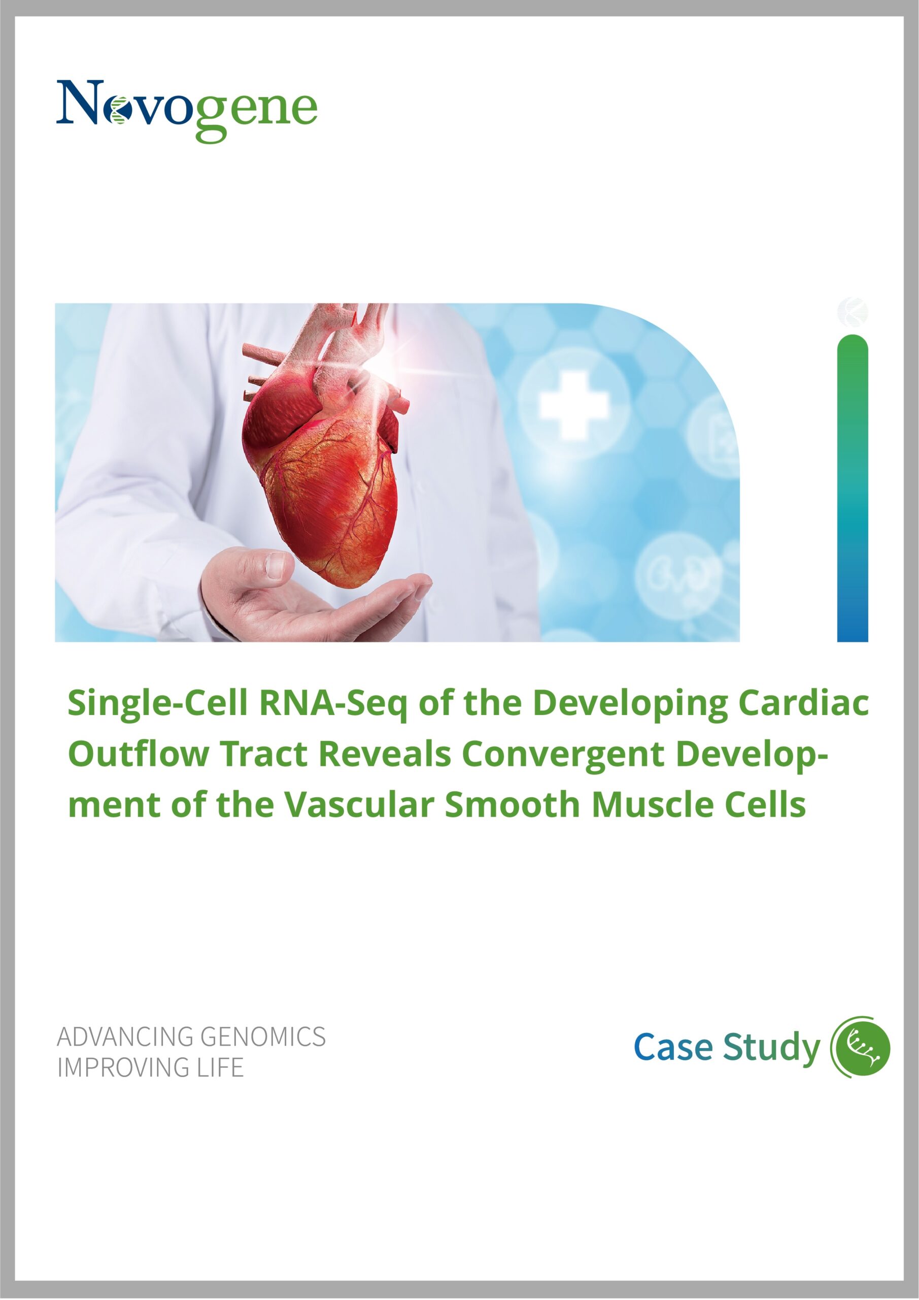Novogene Single-cell and Spatial Multi-omics Case Study Ⅲ