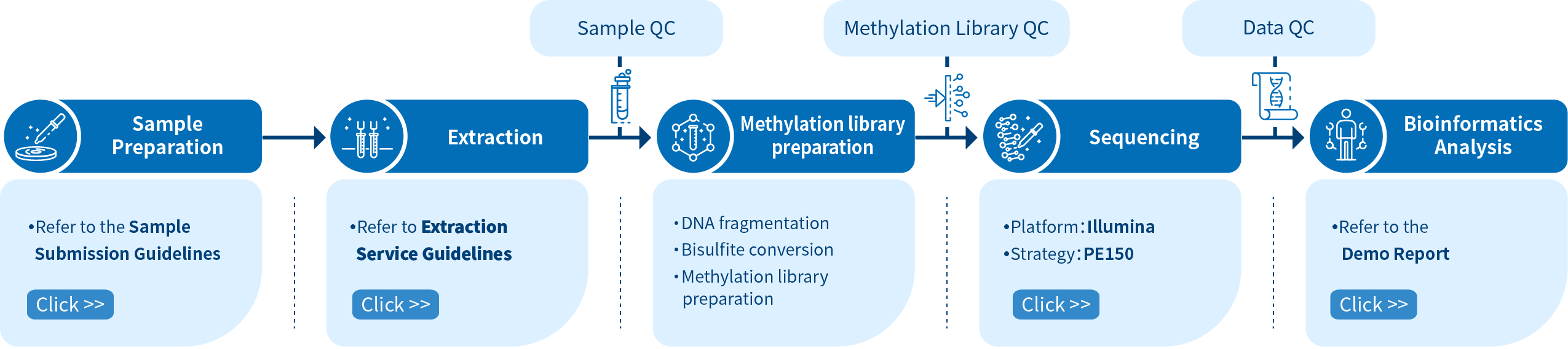Whole Genome Bisulfite Sequencing (WGBS) - Novogene
