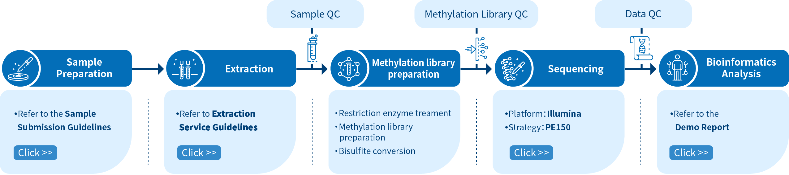 Reduced Representation Bisulfite Sequencing (RRBS) - Novogene