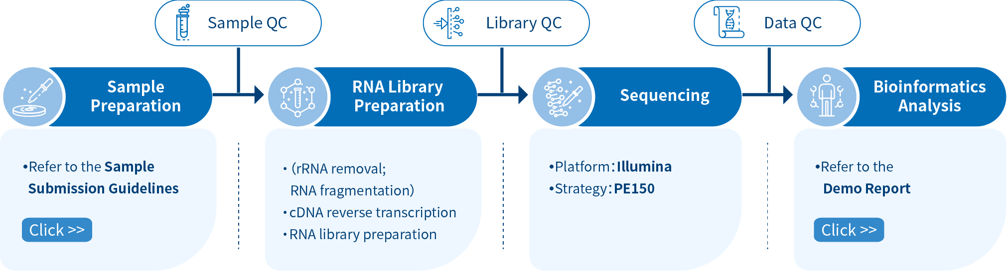 RNA Immunoprecipitation Sequencing (RIP-seq) - Novogene