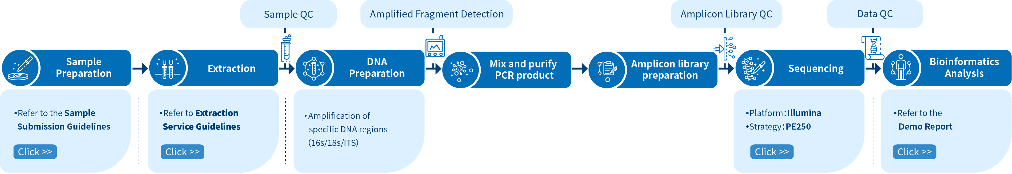 16S/18S/ITS Amplicon Metagenomic Sequencing - Novogene