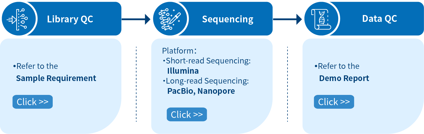 Pre-made Library Sequencing - Novogene