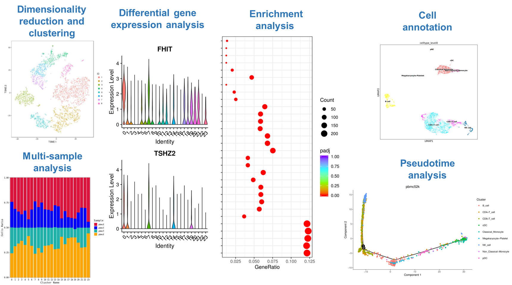 Introduction to Single-Cell Technology: Fundamentals and Historical ...