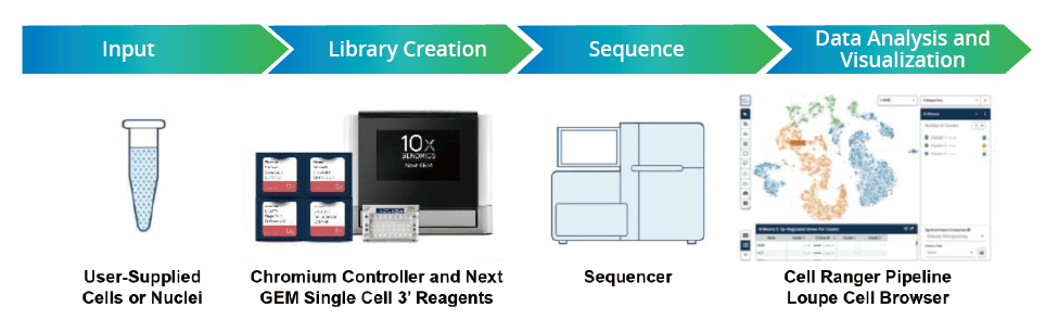 Introduction to Single-Cell Technology: Fundamentals and Historical ...