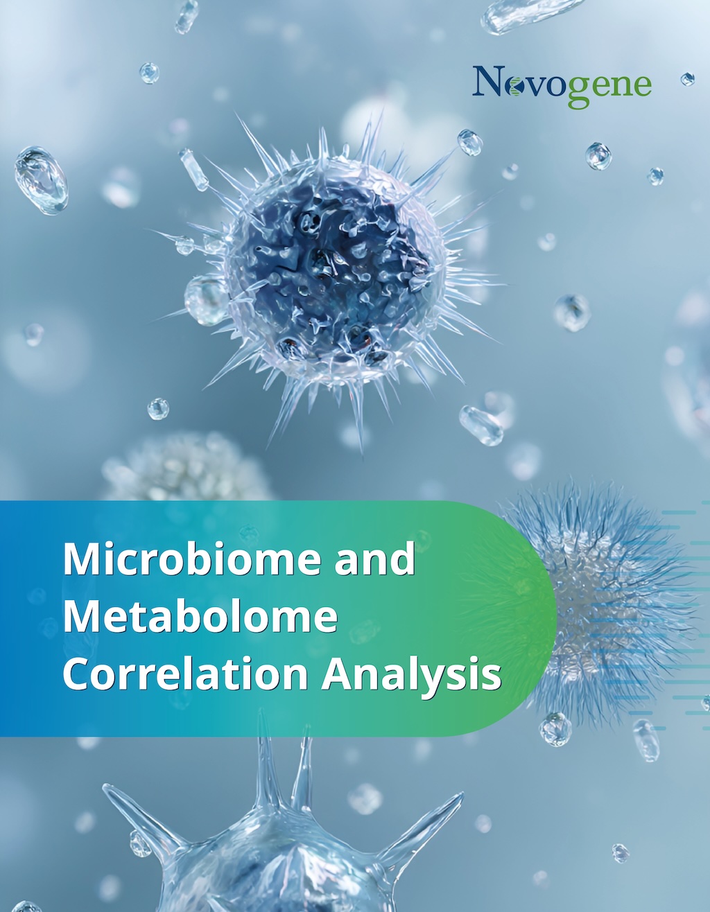 Microbiome and Metabolome Correlation Analysis - Novogene