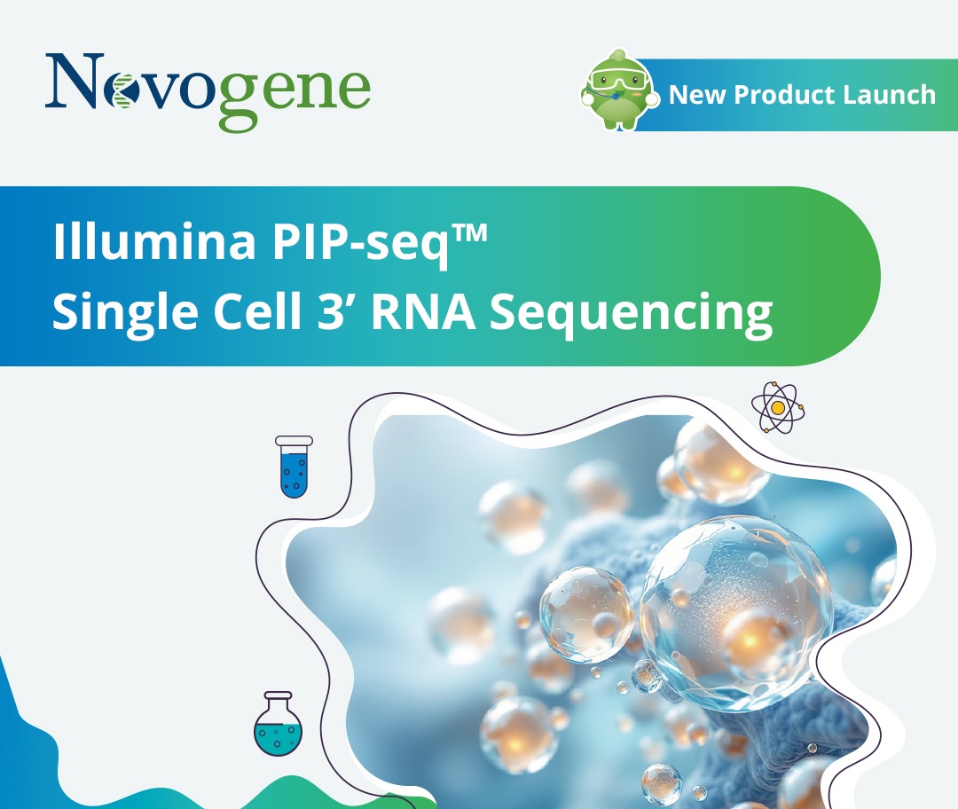 Illumina PIP-seq Single Cell 3’ RNA Sequencing - Novogene