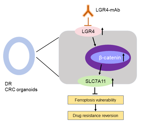 Leveraging Next-Generation Sequencing to Combat Drug Resistance in ...